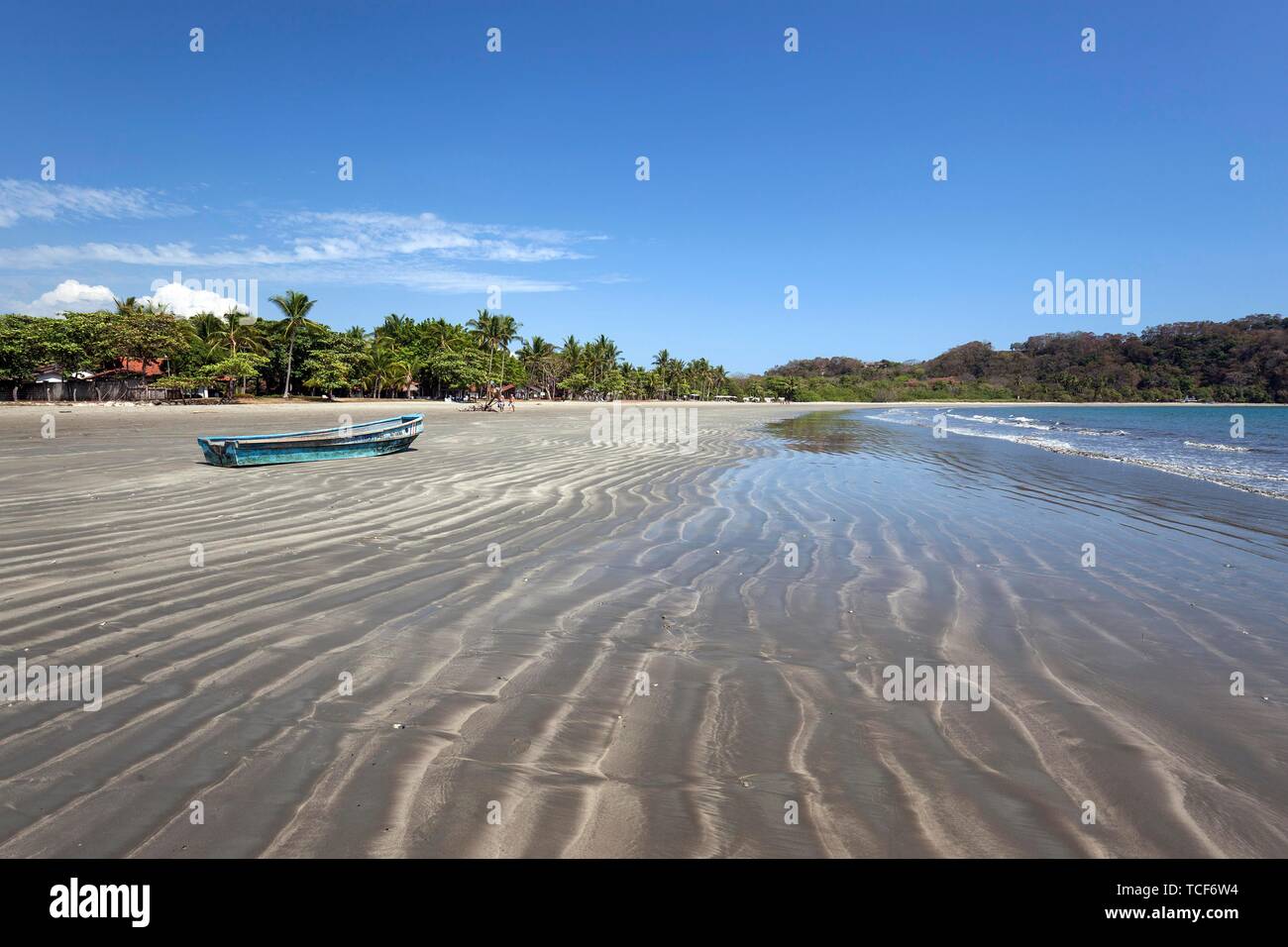 Palm trees and sandy beach at low tide in Samara, Playa Samara, Nicoya ...