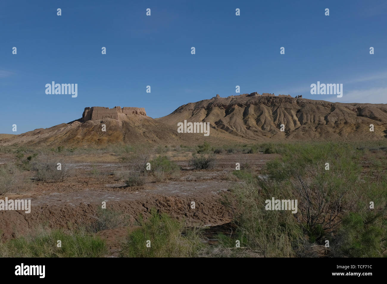 Khorezm empire hi-res stock photography and images - Alamy