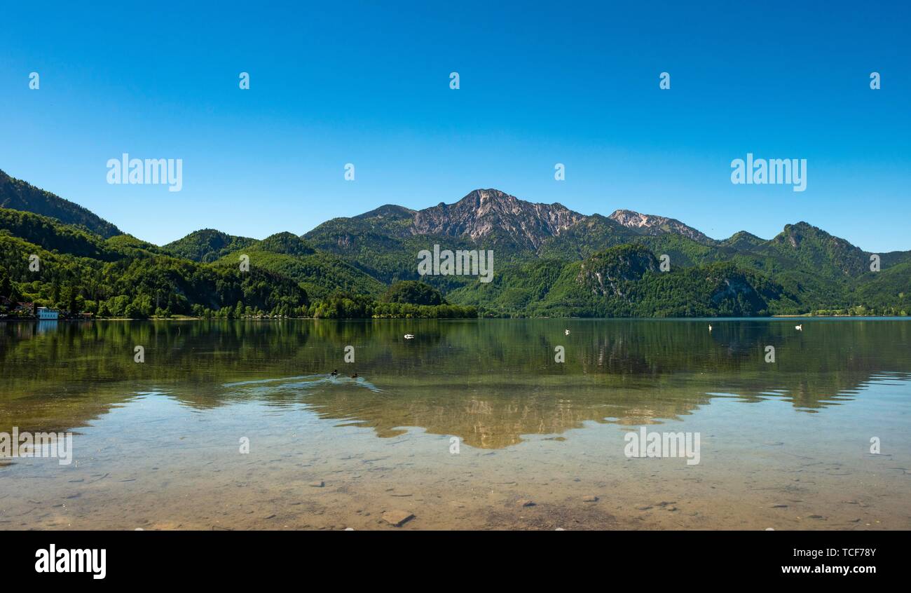 Herzogstand reflected in Lake Kochel, Kochel am See, Upper Bavaria, Bavaria, Germany, Europe ...