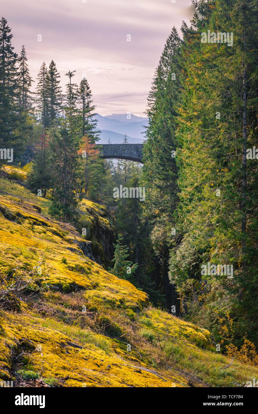 Bridge over gorge, Stevens Canyon, Mount Rainier National Park ...