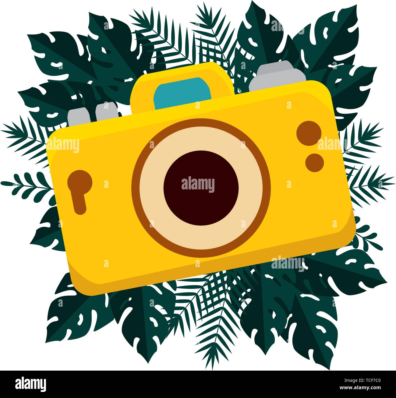 Photographing plants Stock Vector Images - Alamy