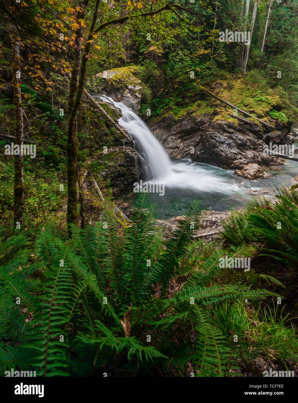 Wenatchee river people hi-res stock photography and images - Alamy