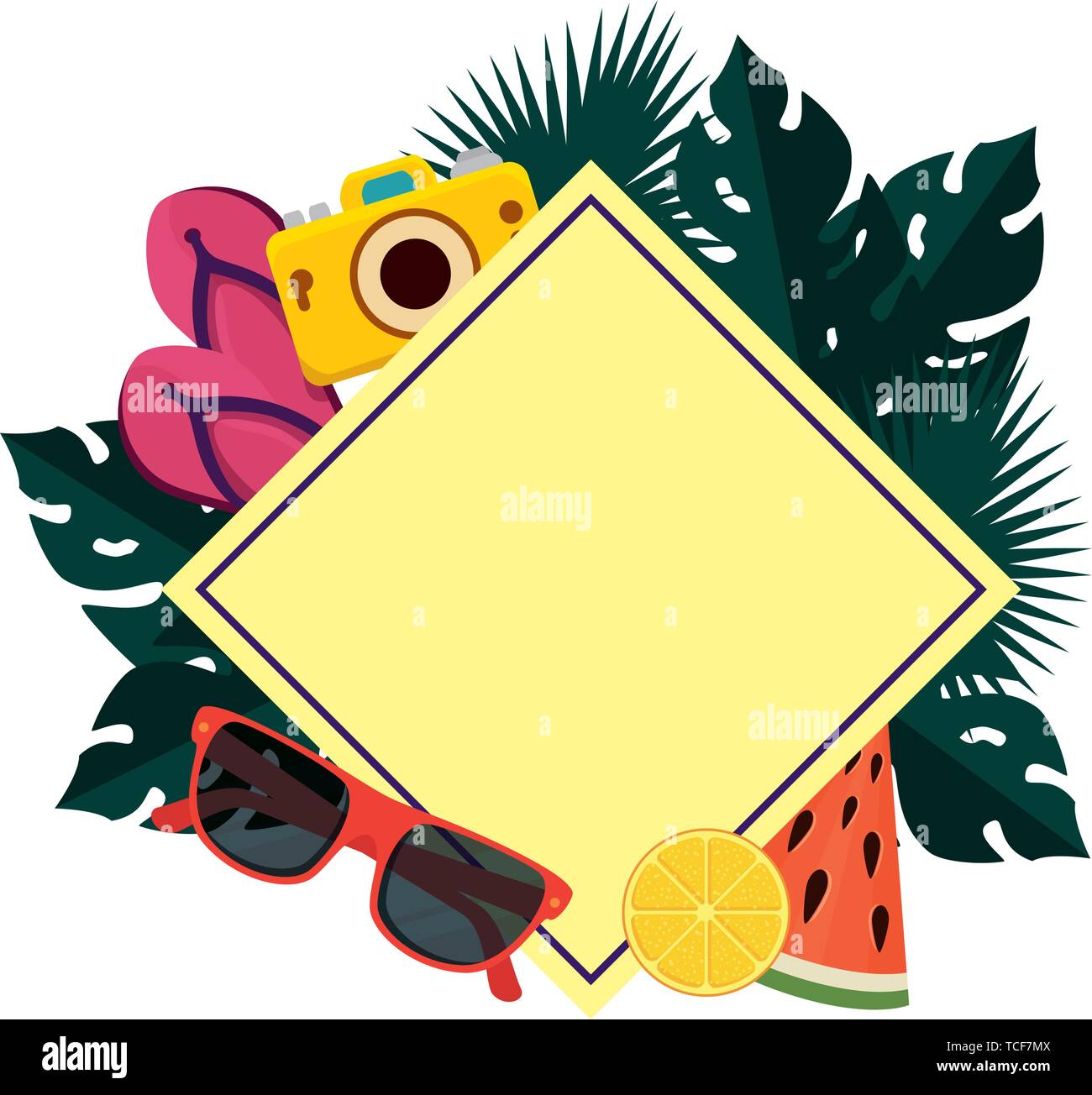 summer frame with camera and fruits Stock Vector Image & Art - Alamy