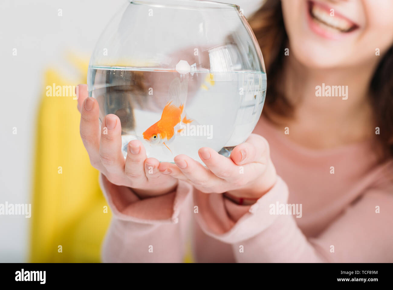 partial view of cheerful woman holding fish bowl with bright gold fish ...