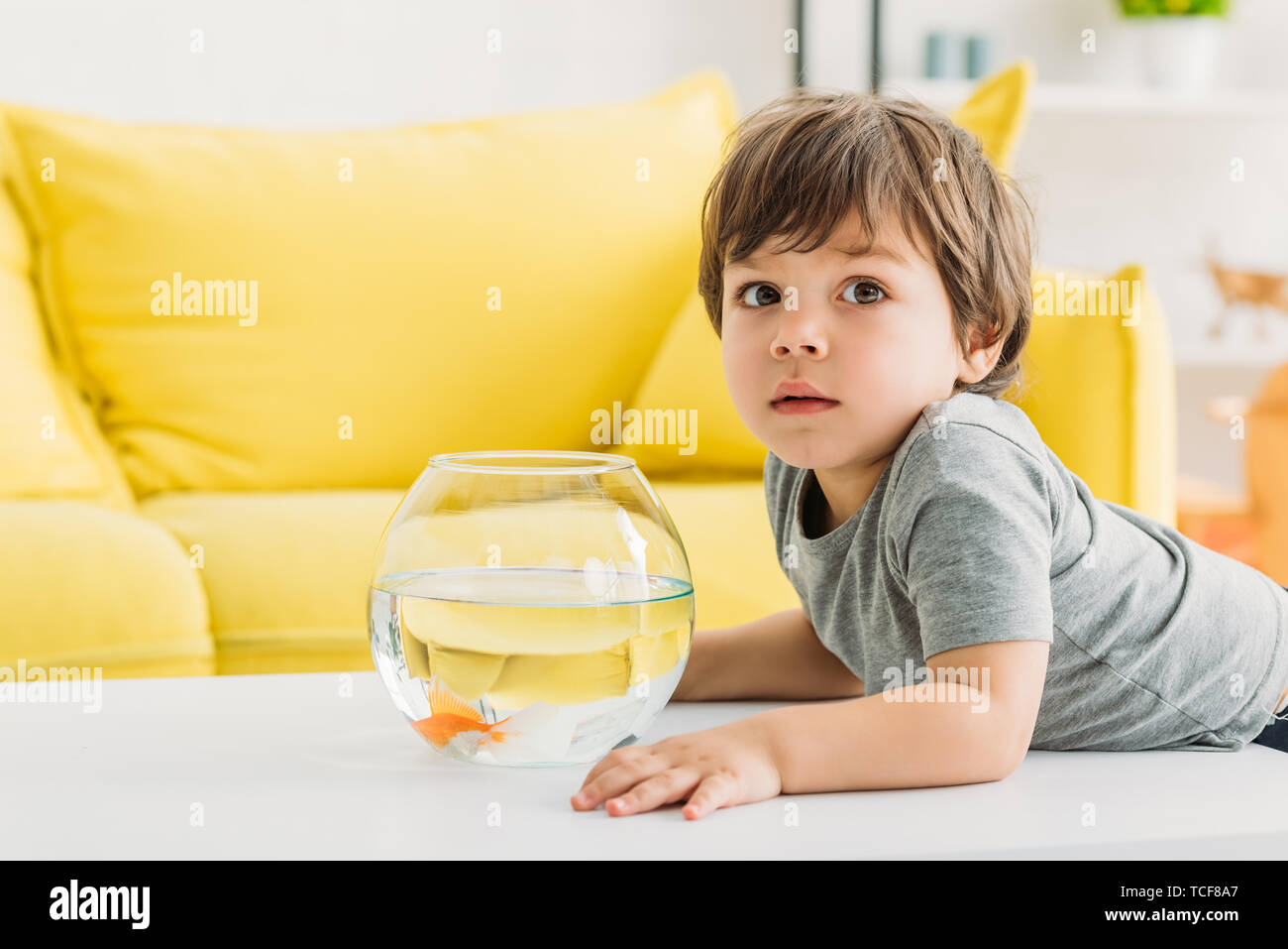 Standing glass fish hi-res stock photography and images - Alamy