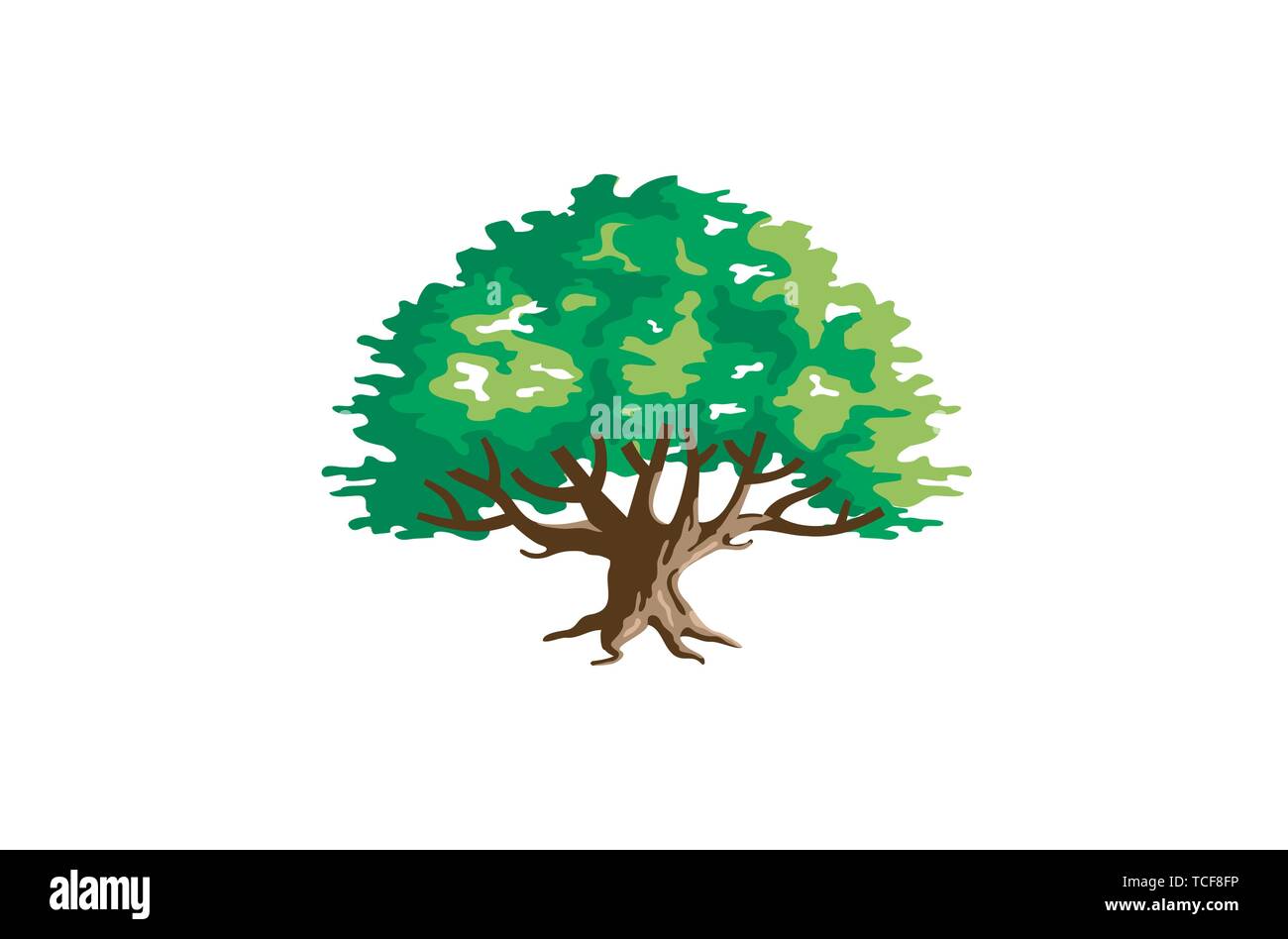 Green Creative Oak Tree Logo Design Symbol Illustration Stock Vector ...