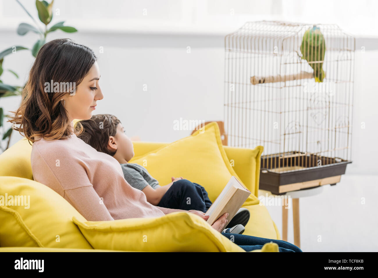 Kid reading book bird hi-res stock photography and images - Alamy