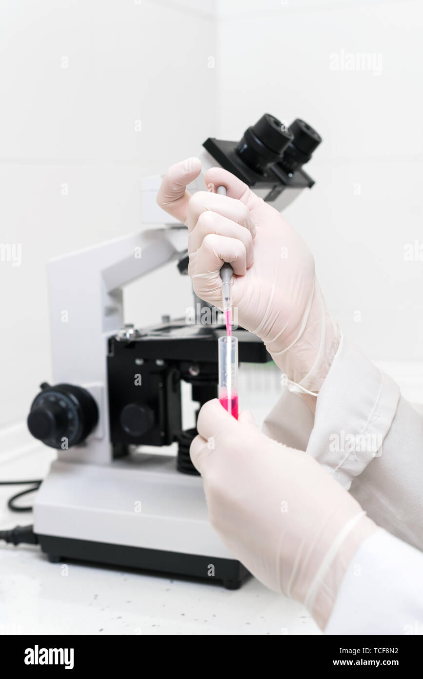Scientist Filling Test Tube With Pipette In Laboratory. Close up view ...