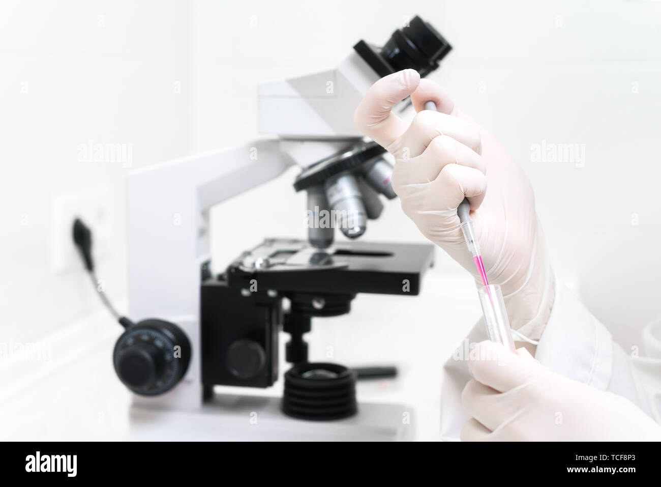 Scientist Filling Test Tube With Pipette In Laboratory. Close up view ...