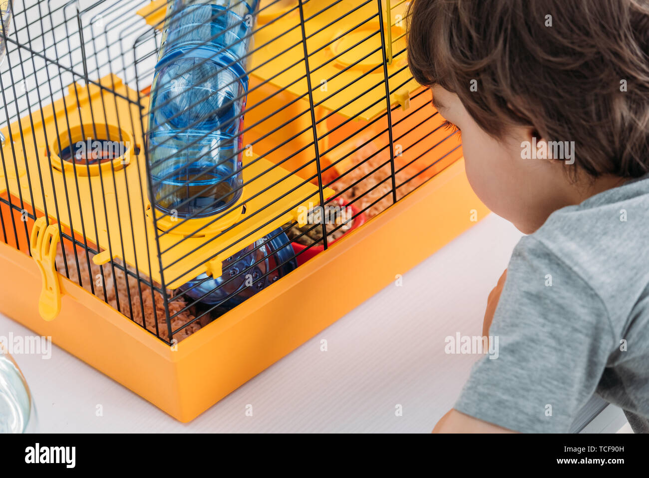 partial view of boy looking at orange pet cage with blue transparent ...