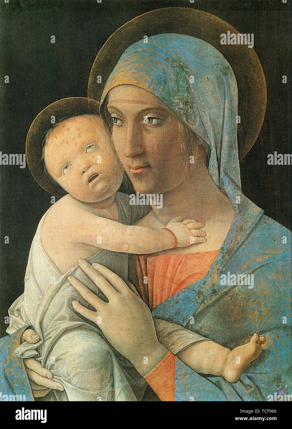 Andrea mantegna painting virgin with child hi-res stock photography and ...