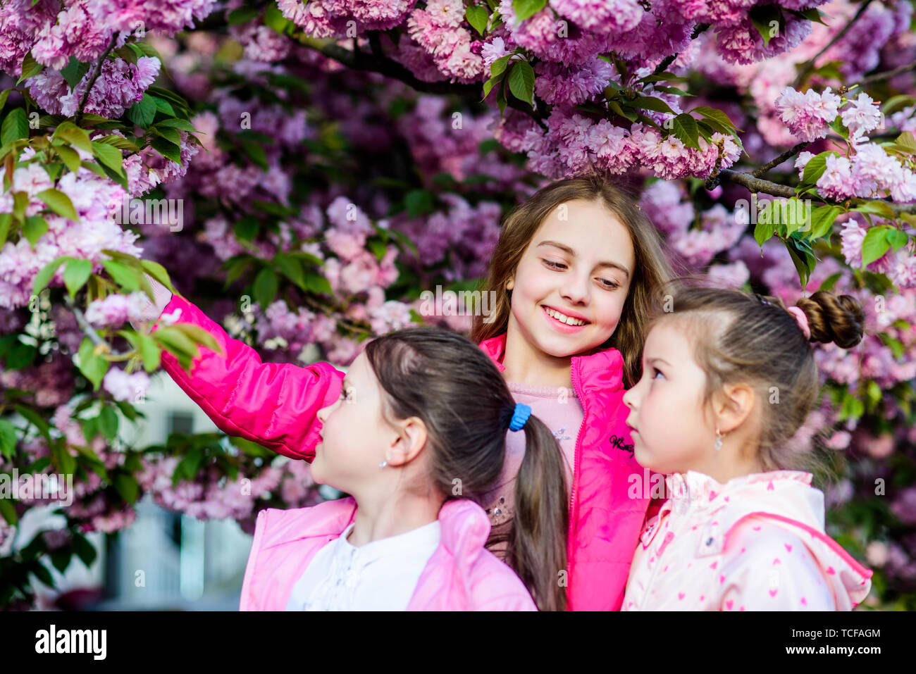 Flowers tender bloom. Kids enjoy cherry blossom. True friendship. Pink ...
