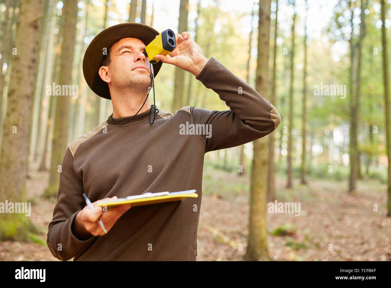 Förster uses the rangefinder to determine the tree height in forest ...