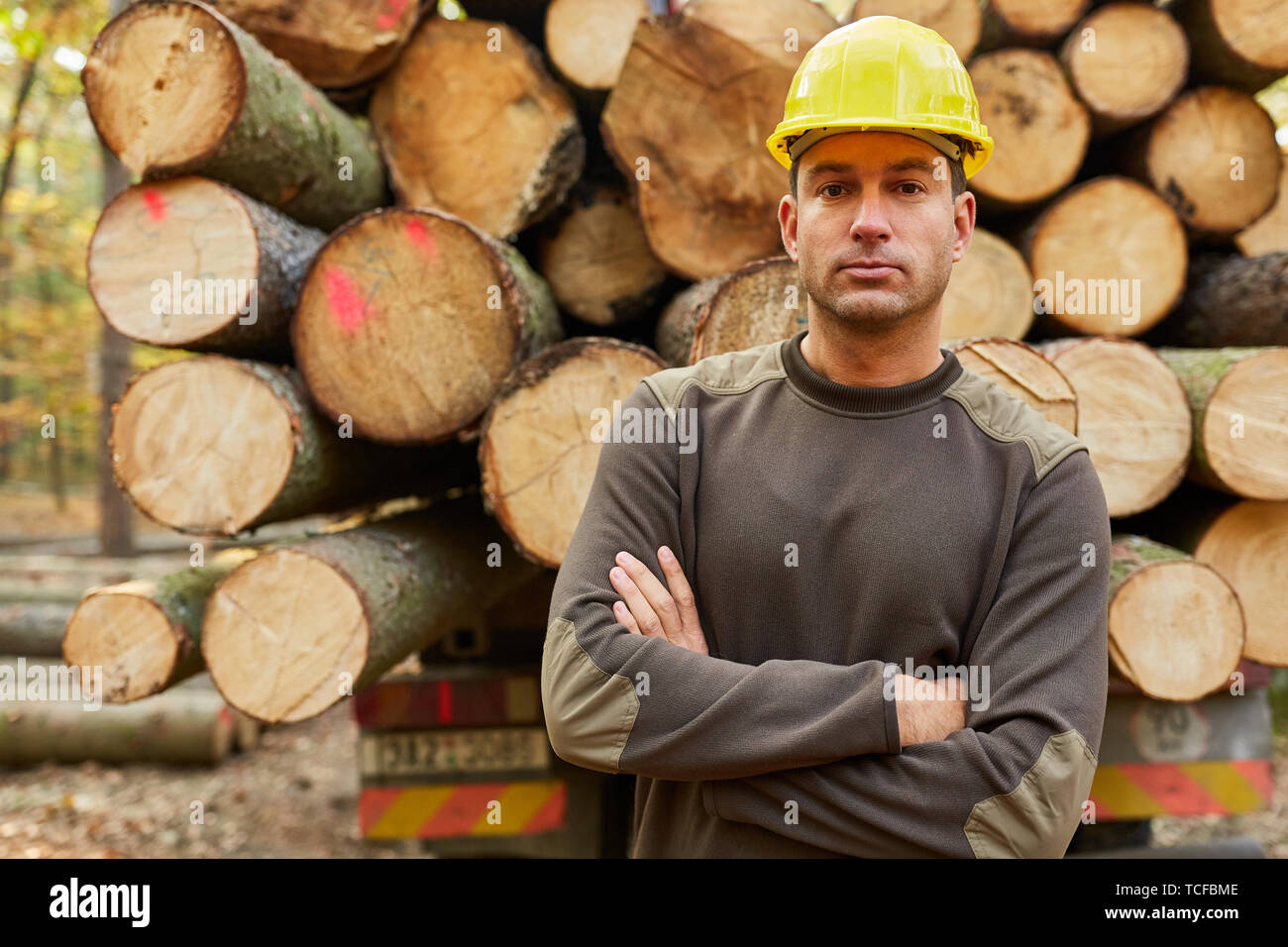 Lumberjack or forest worker with crossed arms in front of the long wood ...