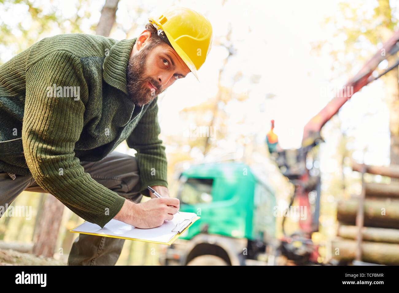 Forest worker with checklist when loading long logs after harvesting ...