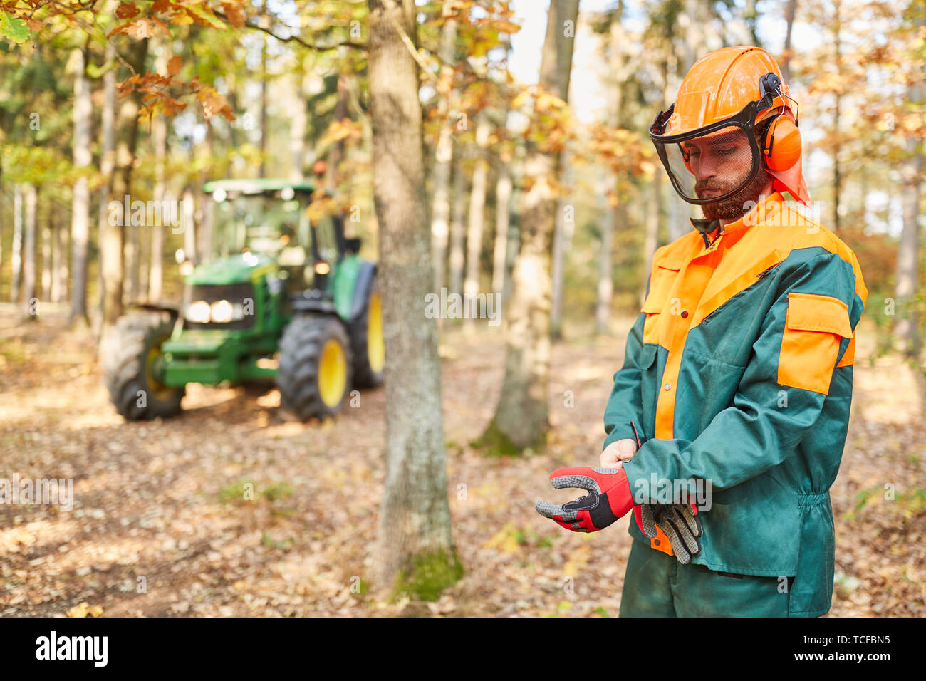 Forest worker puts on gloves in protective equipment for occupational ...