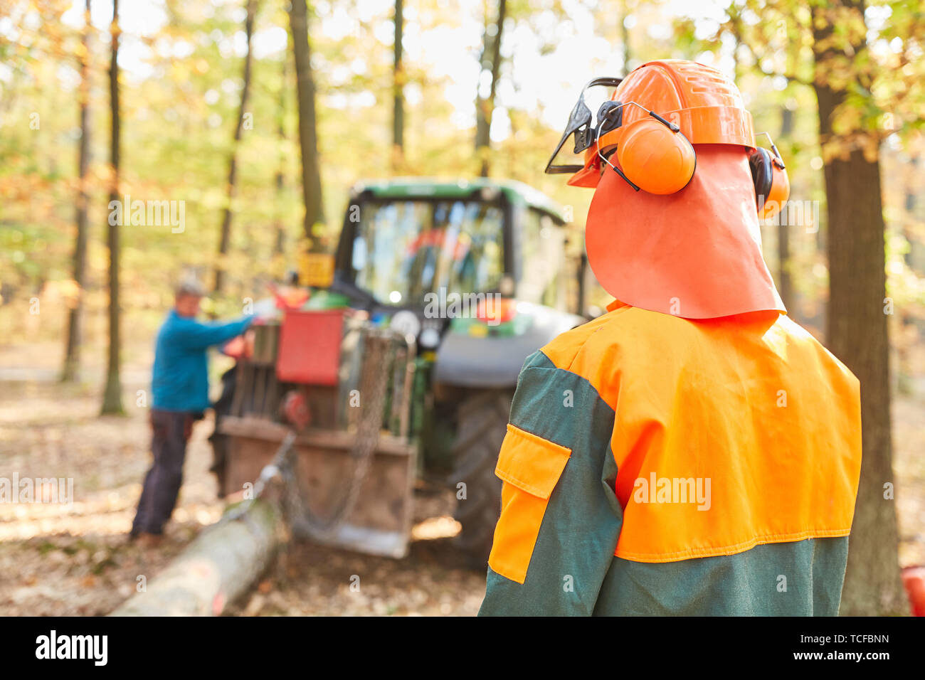Forest worker at the wood back with the forwarder after the wood ...