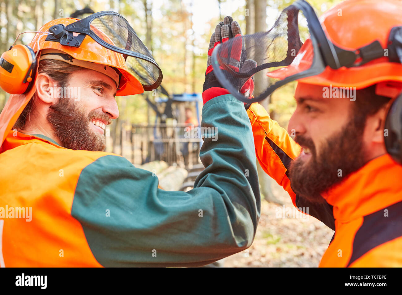 Two forest workers as lumberjack team give themselves a high five at ...