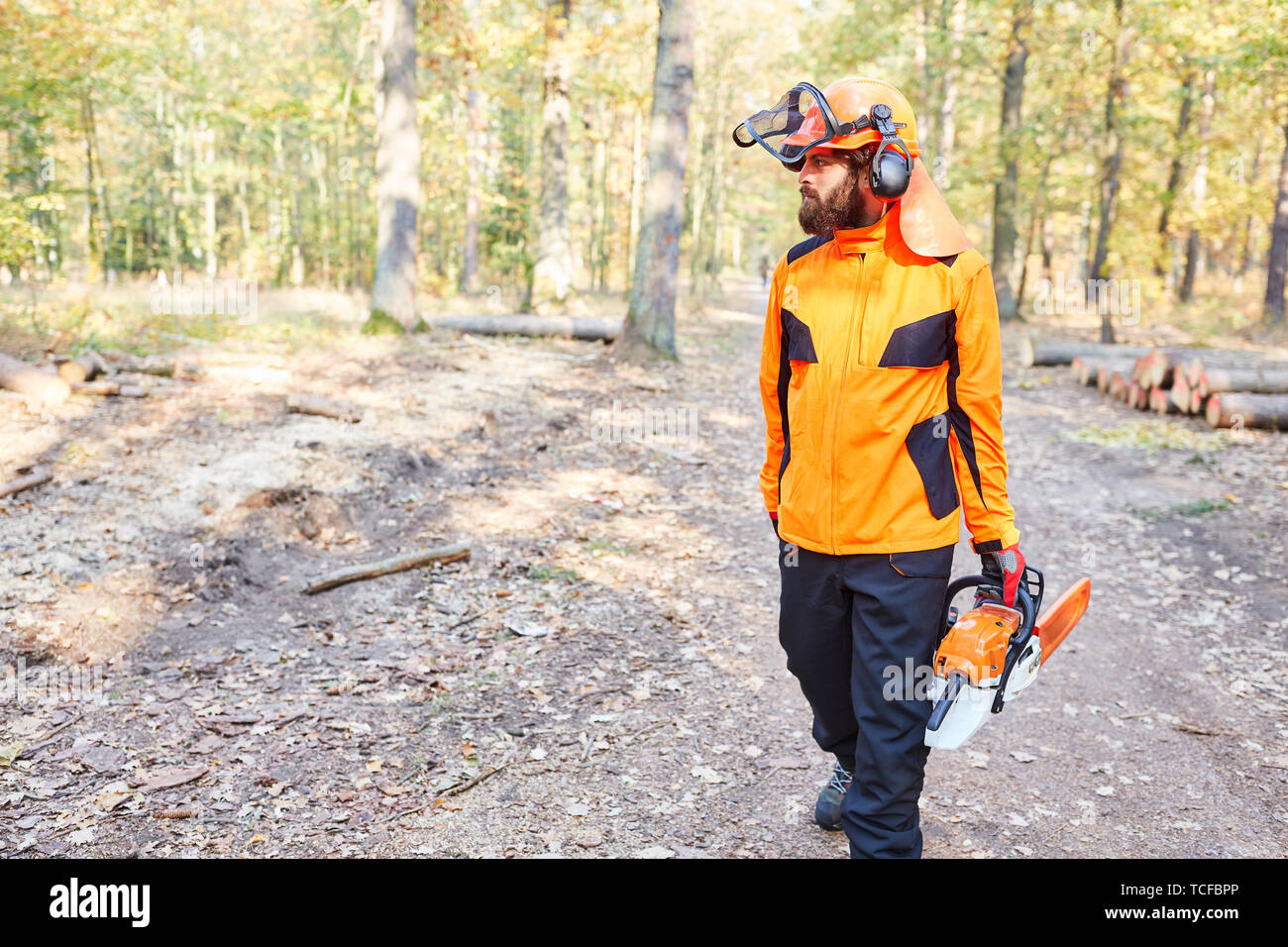 Forest worker as a woodcutter with chainsaw and in protective clothing ...