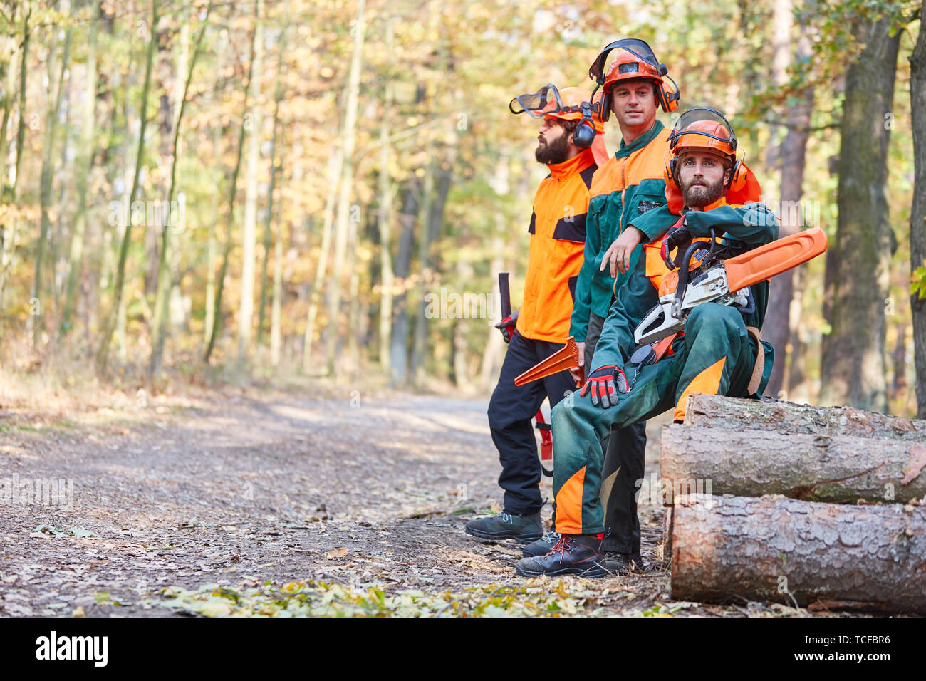 Lumbermen hi-res stock photography and images - Alamy