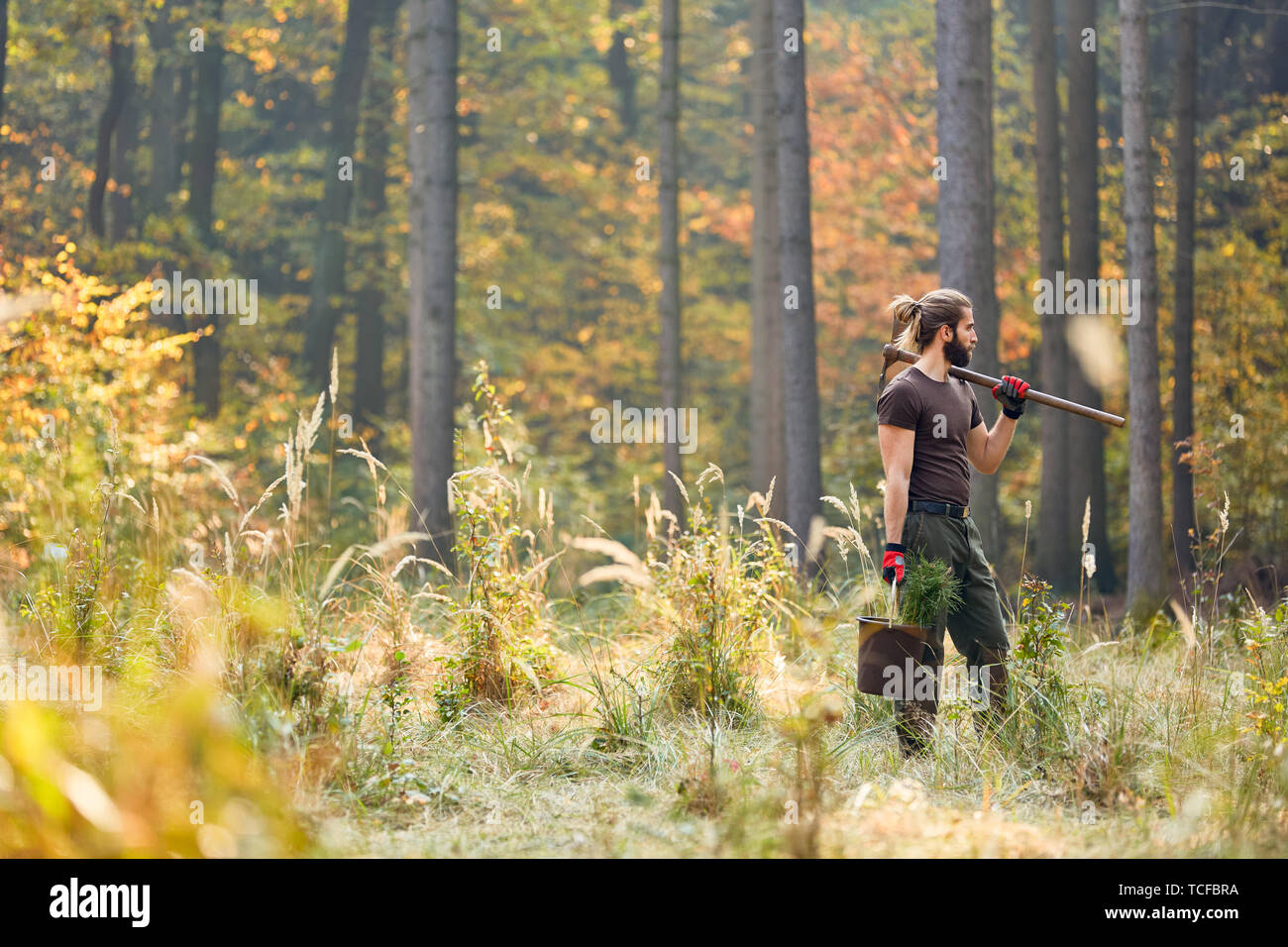 Young ranger or forest worker is planting trees for sustainability and ...