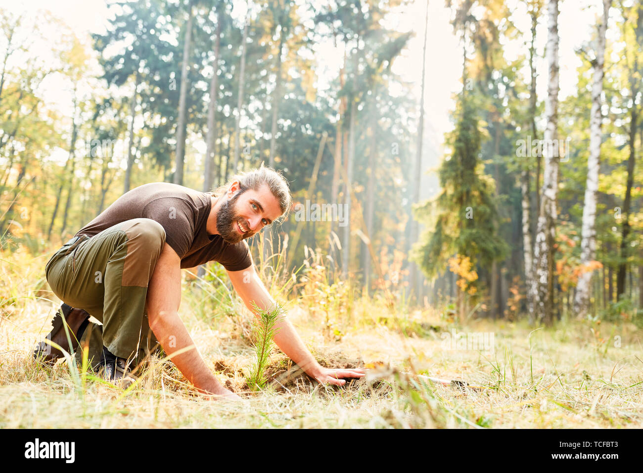 Young forester or forest worker planting seedling for afforestation ...