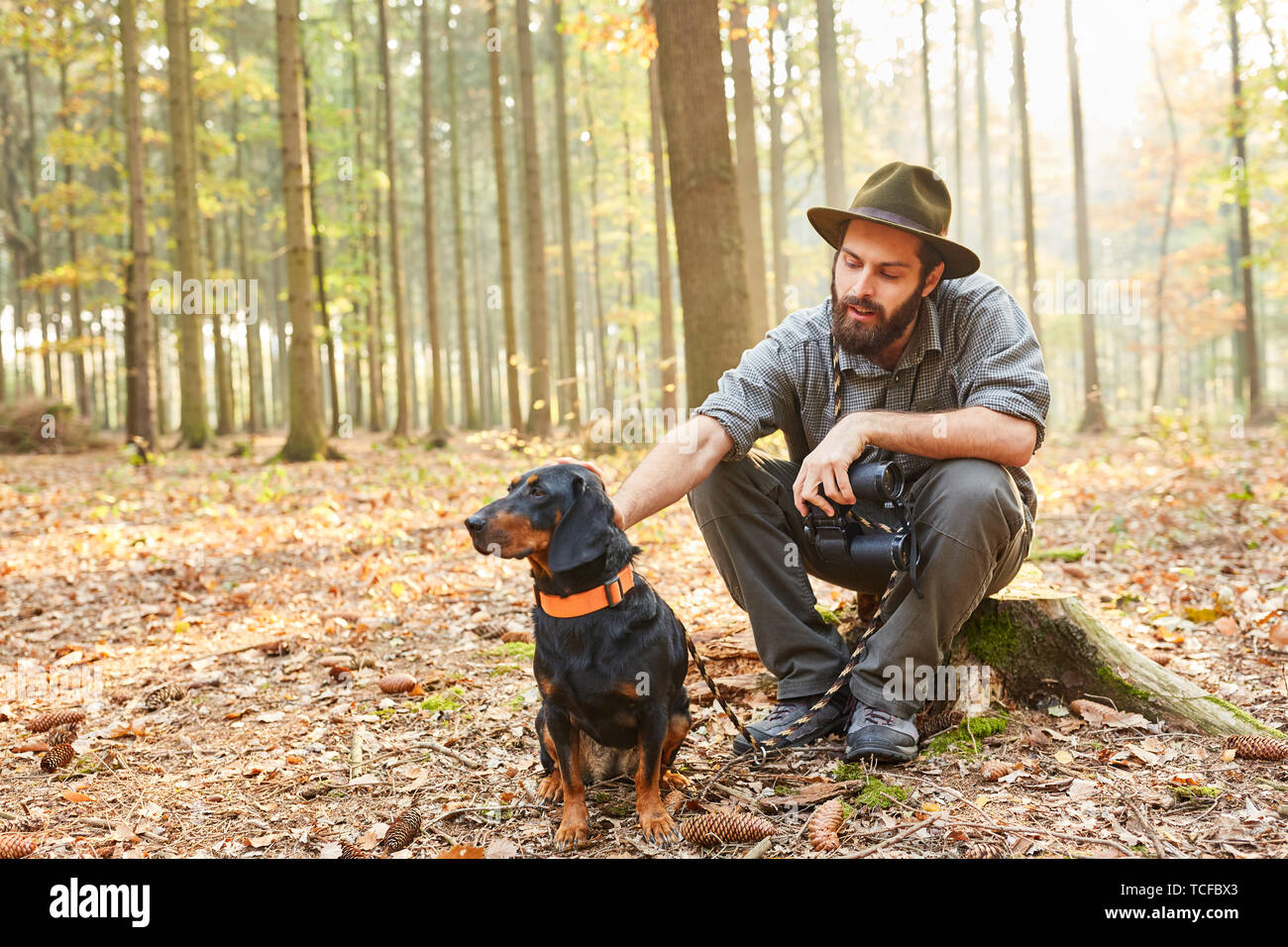 Forester sits with binoculars and Brandbracke as a hunting dog in the ...
