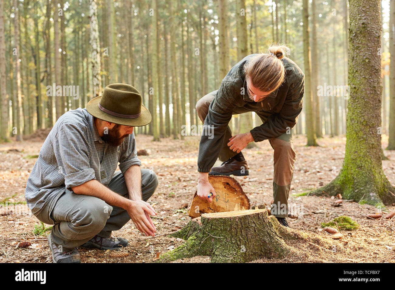 Tree marking for forestry hi-res stock photography and images - Alamy