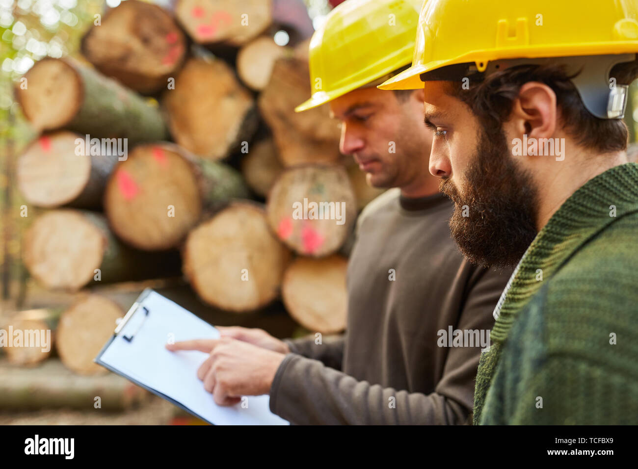 Two lumberjacks with checklist for loading and transporting lumber ...