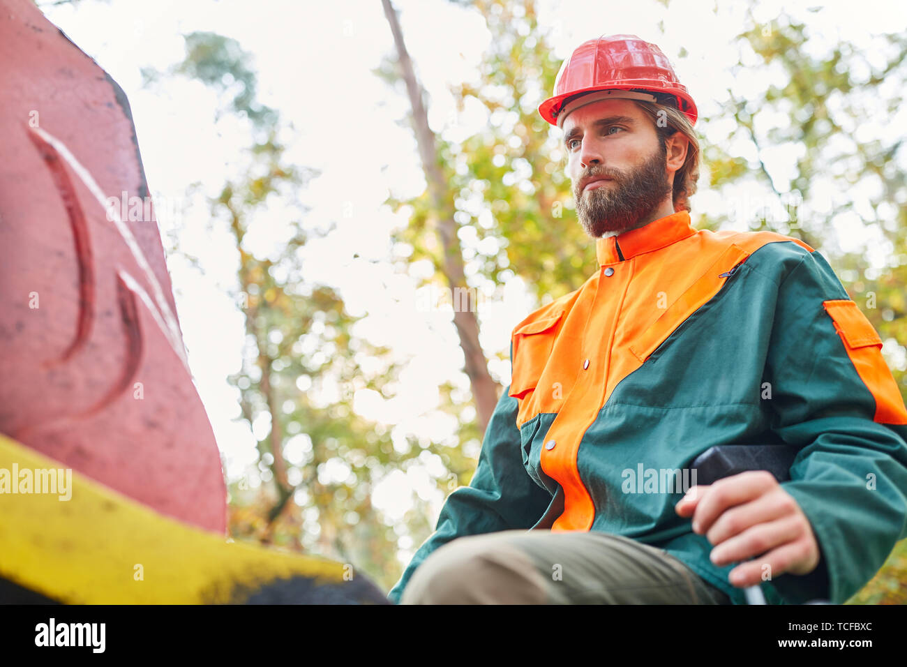 Forest worker as a crane operator on the forwarder while chopping wood ...