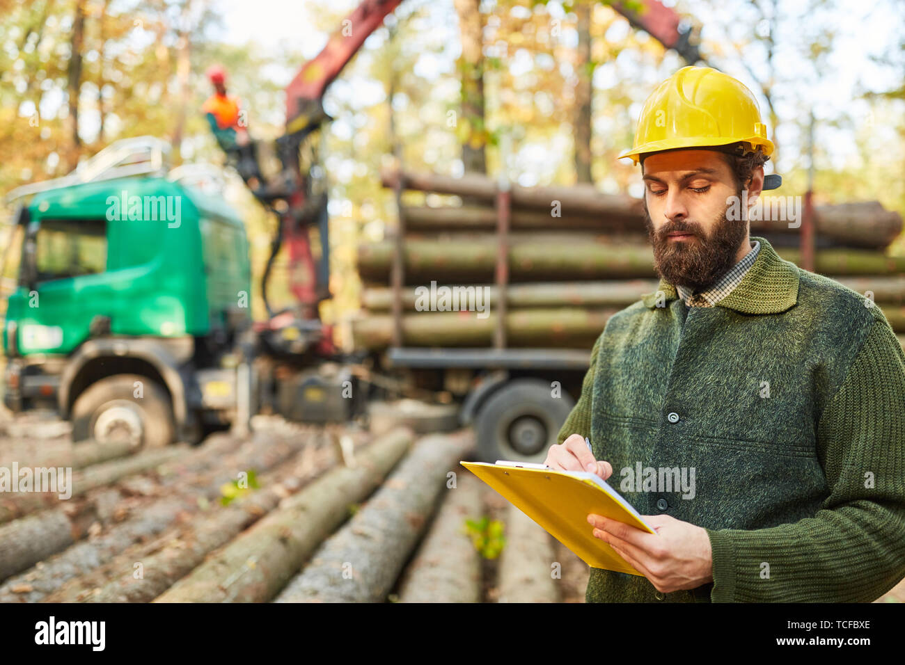 Forestry or forest worker with checklist when loading long logs Stock ...