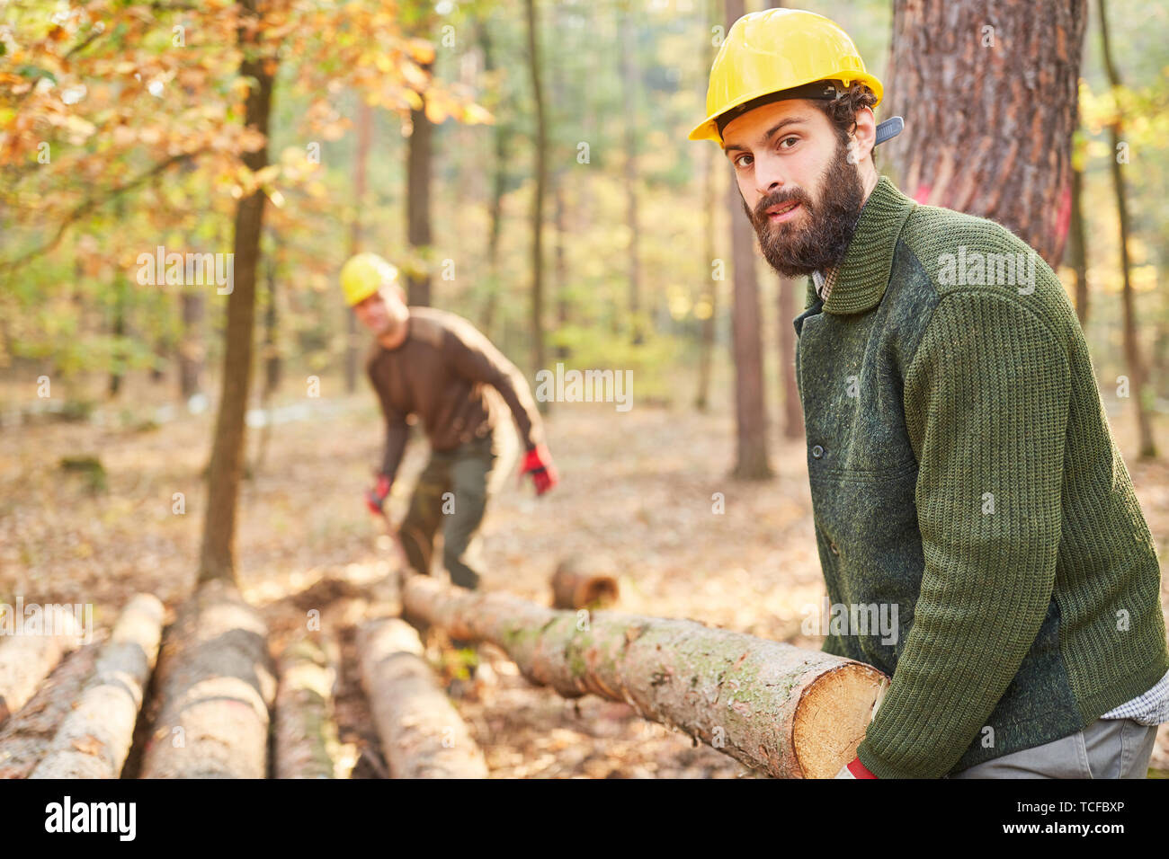 Log harvesting equipment hi-res stock photography and images - Alamy
