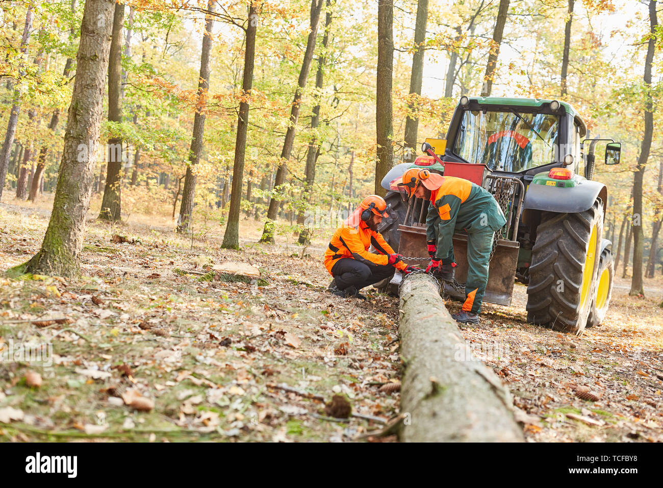Gear hauler hi-res stock photography and images - Alamy