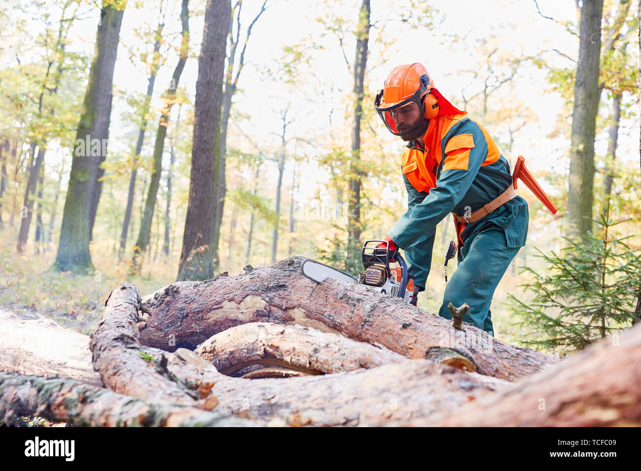 Chainsaw tree hi-res stock photography and images - Alamy