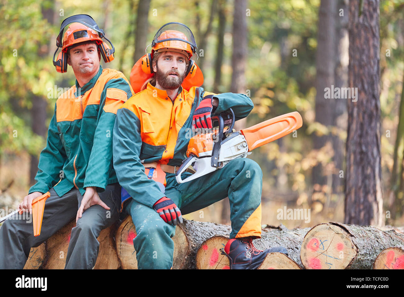 Forest workers hi-res stock photography and images - Alamy