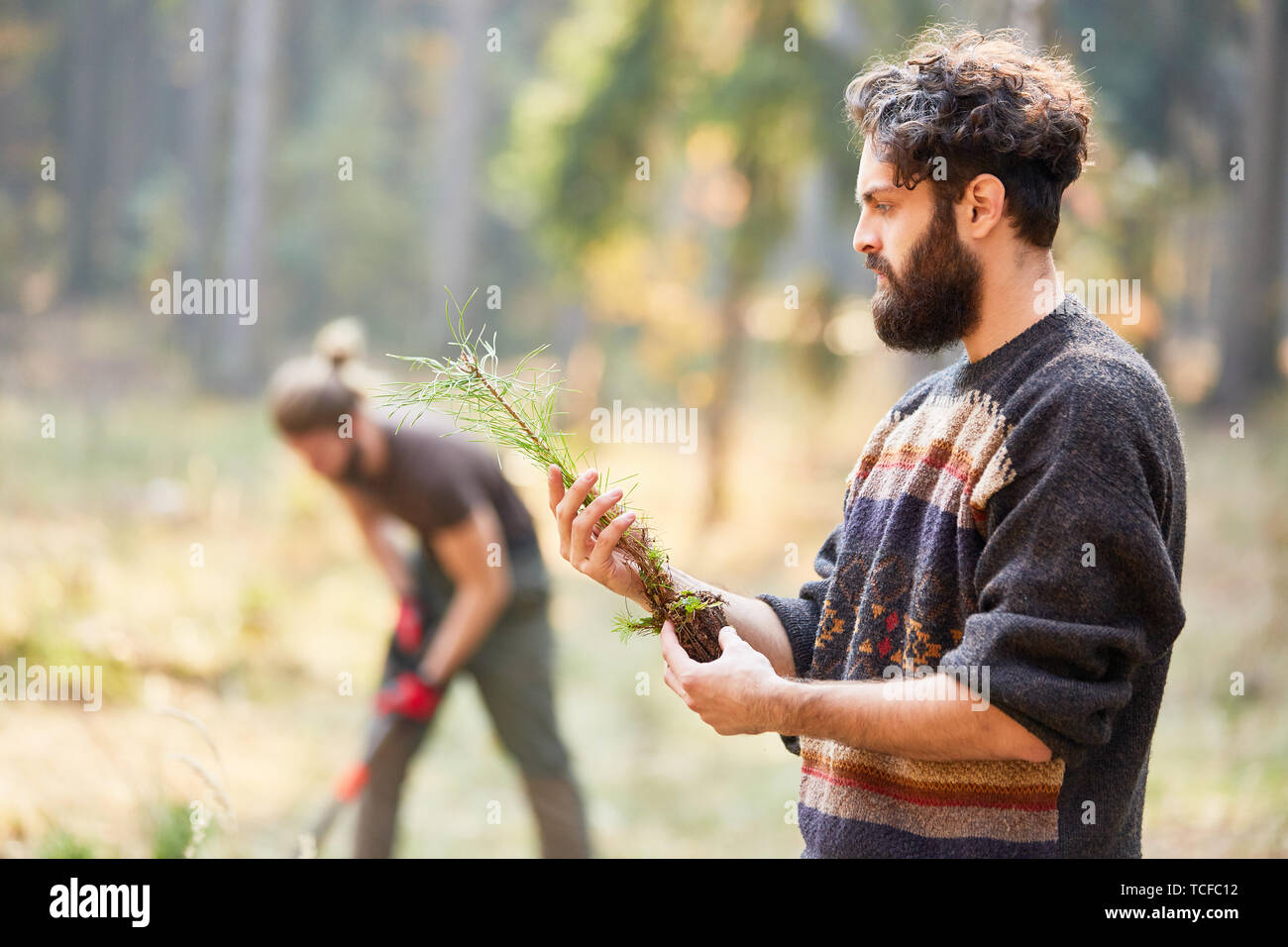 Reforesting hi-res stock photography and images - Alamy