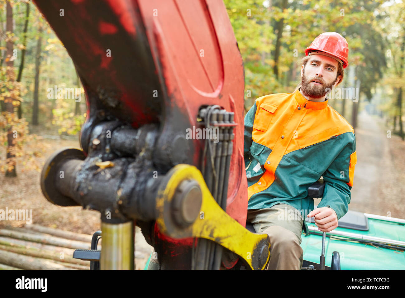 Forest workers on forestry crane of forwarder at the wood harvest in ...