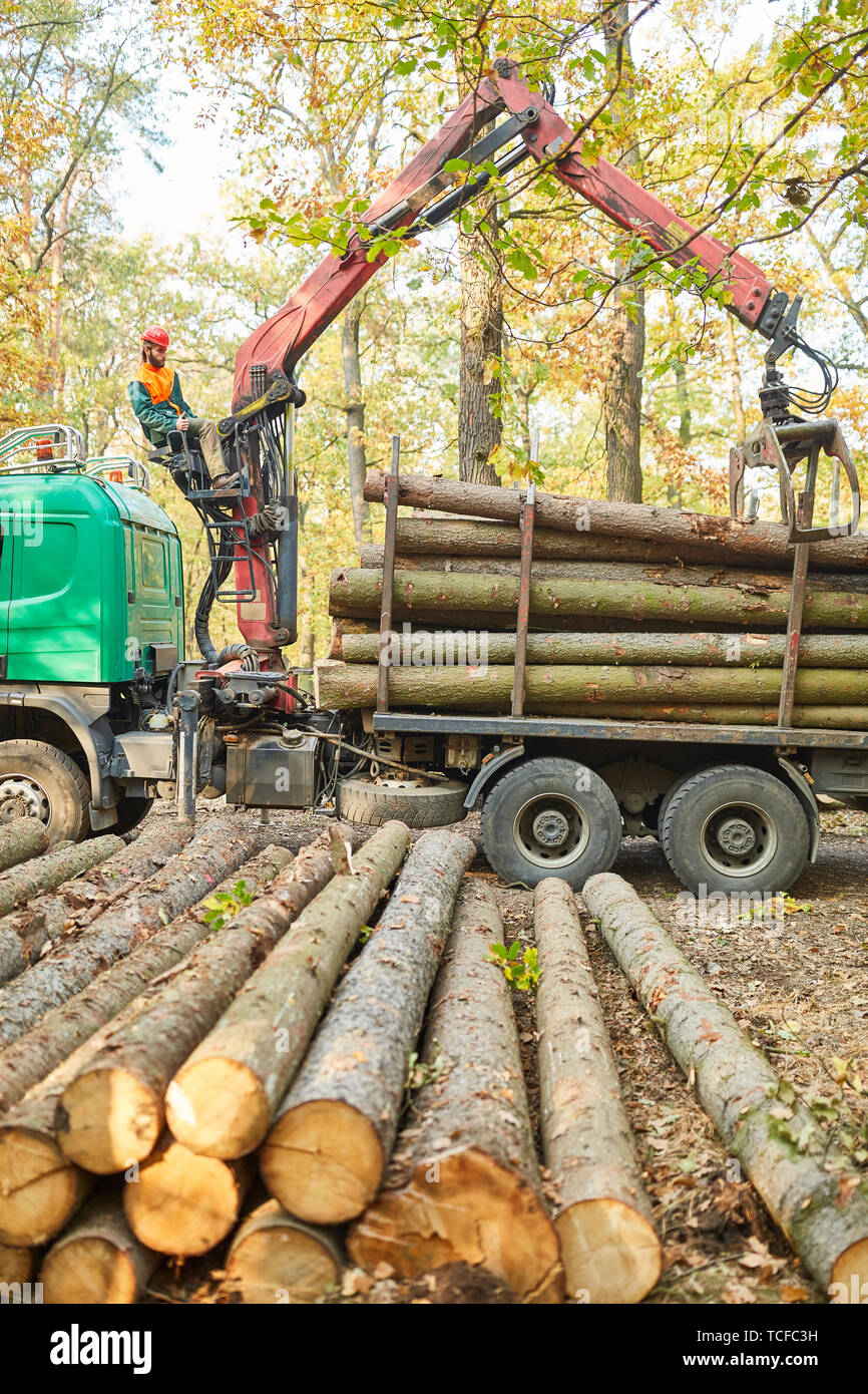 Lumber is loaded with the forestry crane from Forwarder during the ...