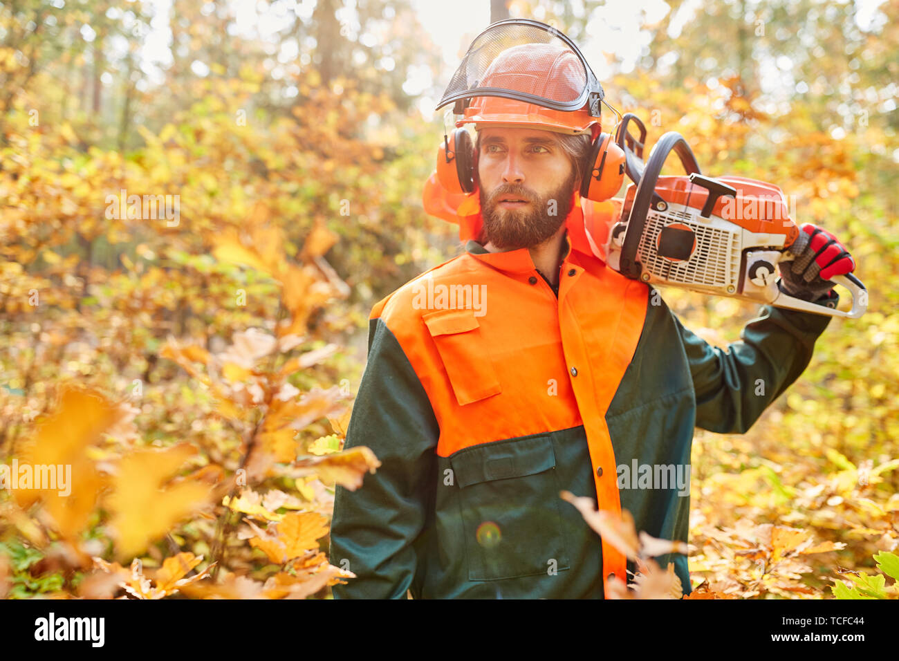 Tree protective gear safety hi-res stock photography and images - Alamy