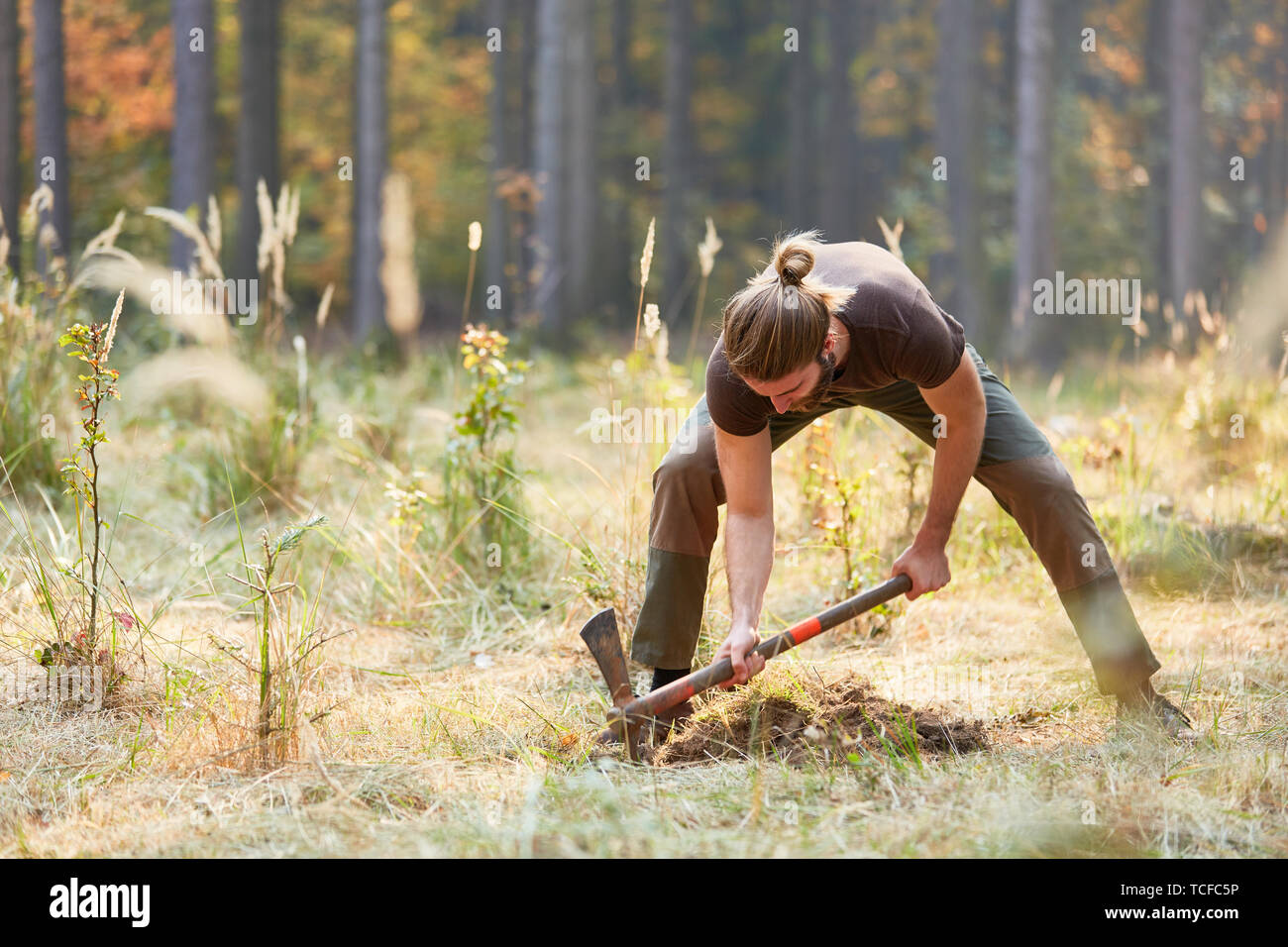 Plant tree dig hole hi-res stock photography and images - Alamy