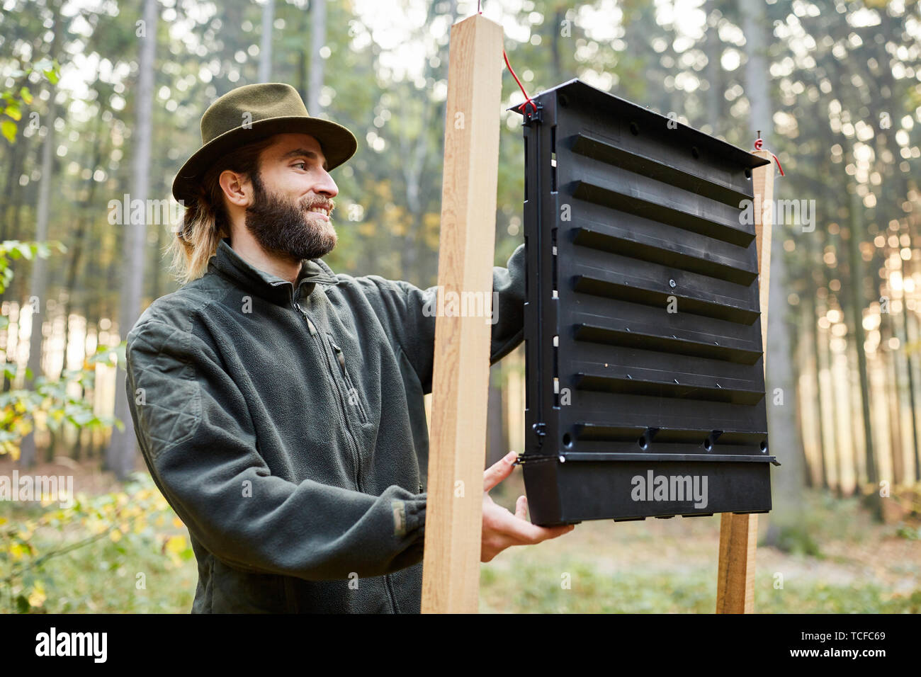 Förster installs a new bark beetle trap for pest control Stock Photo ...