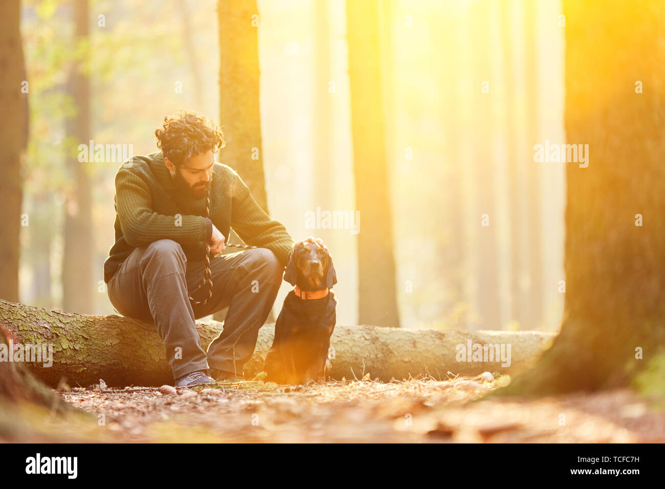 Forester sits in the sunny forest with hound as a hunting dog Stock ...