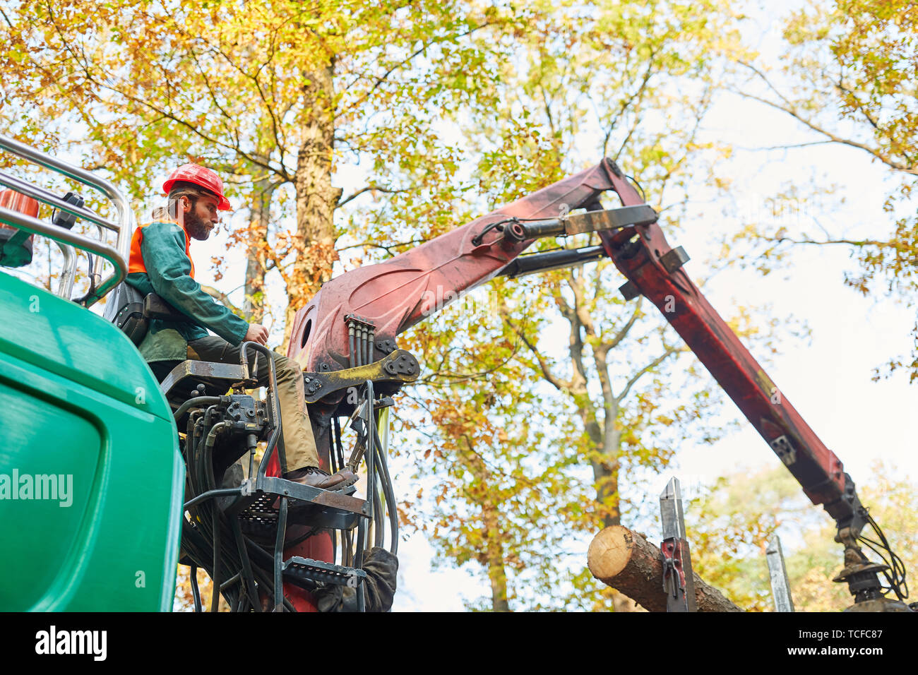 Crane operator on forwarder crane at logging or loading wood Stock ...