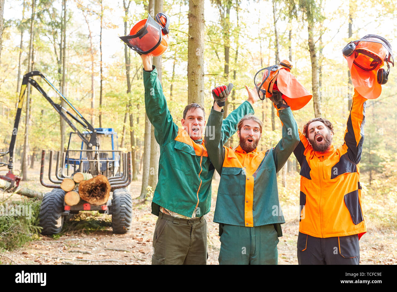 Cheering forest workers team at the wood harvest with forwarder in the ...