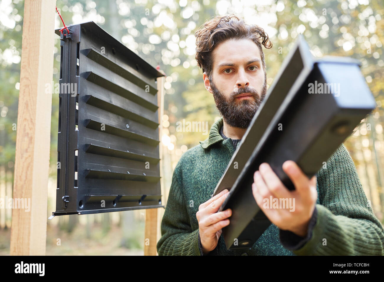 Forester controls a bark beetle trap in the forest as pest control ...