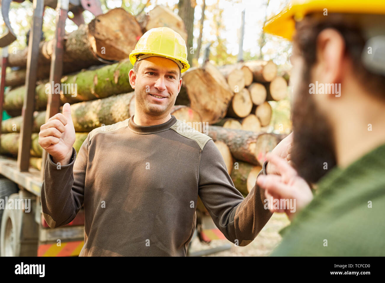Two forest workers plan transport and loading of the tree trunks ...