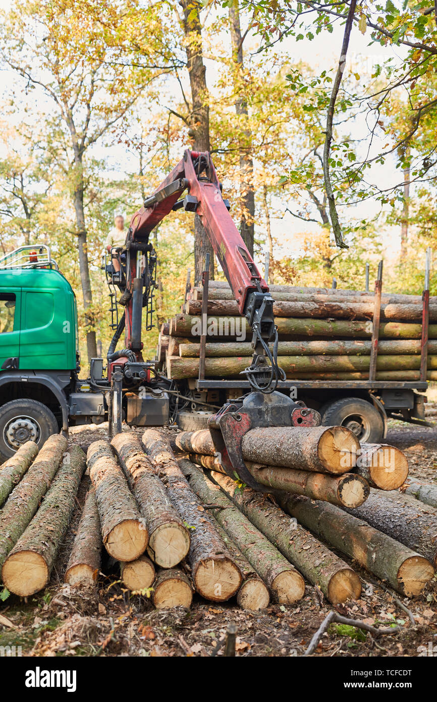 Harvesting of timber hi-res stock photography and images - Alamy