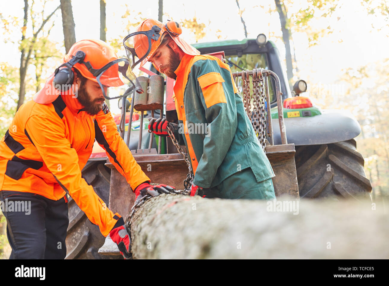Two forest workers with forwarders at the Holzrücken after harvesting ...