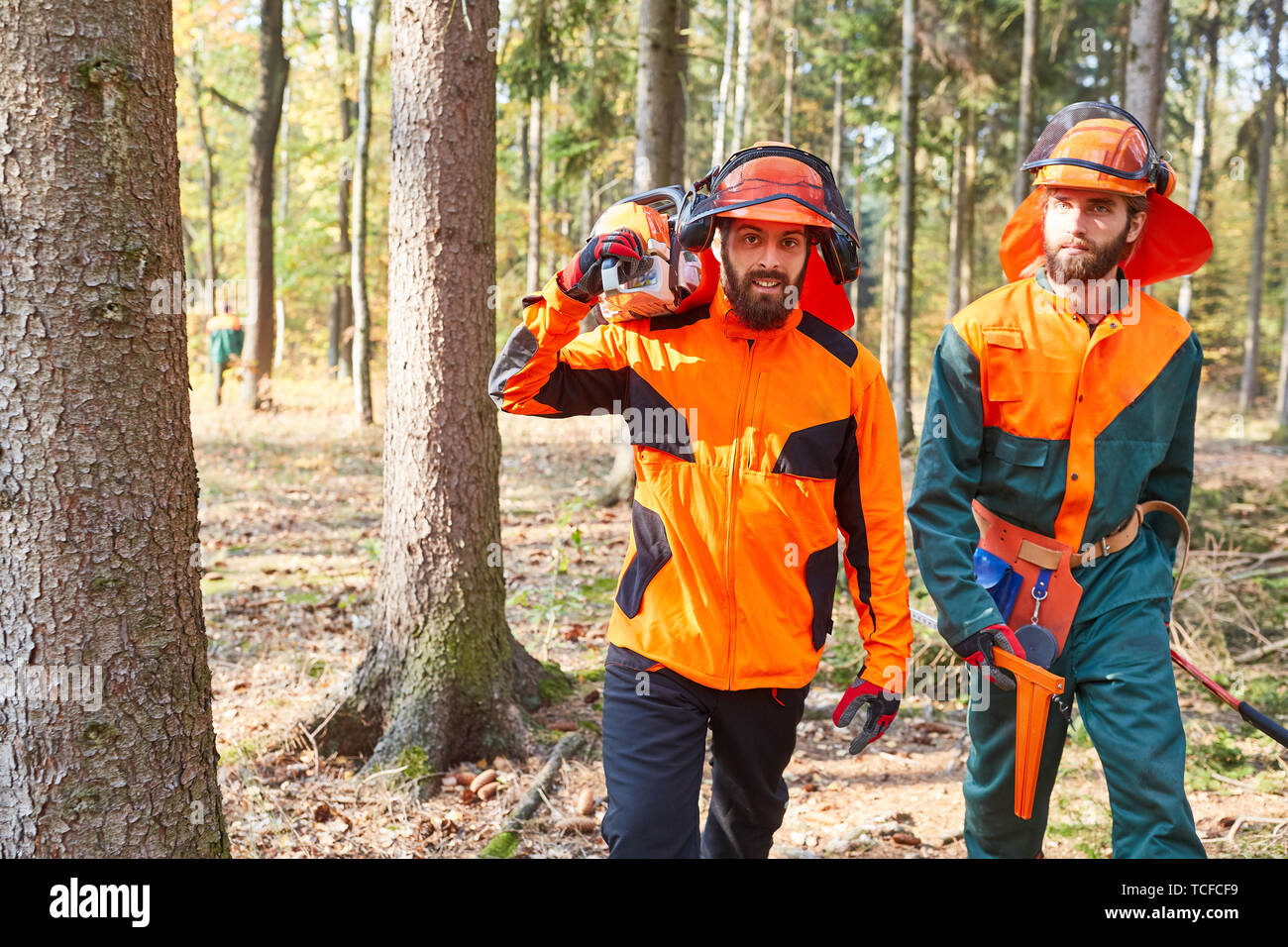 Sustainable forest hi-res stock photography and images - Alamy