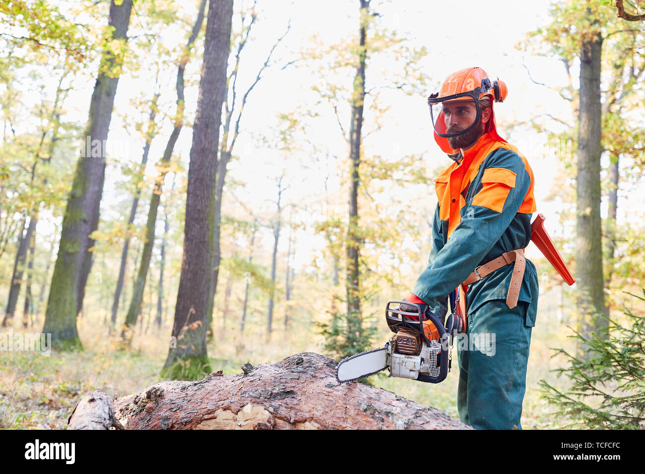 Tree protective gear safety hi-res stock photography and images - Alamy